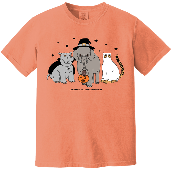 Cincinnati Zoo & Botanical Garden - Zoo Animals, Team Fiona | Cincy ...